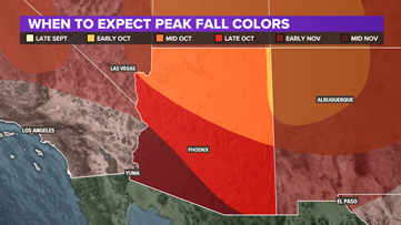 State-By-State | When can you expect the fall foliage to hit peak ...