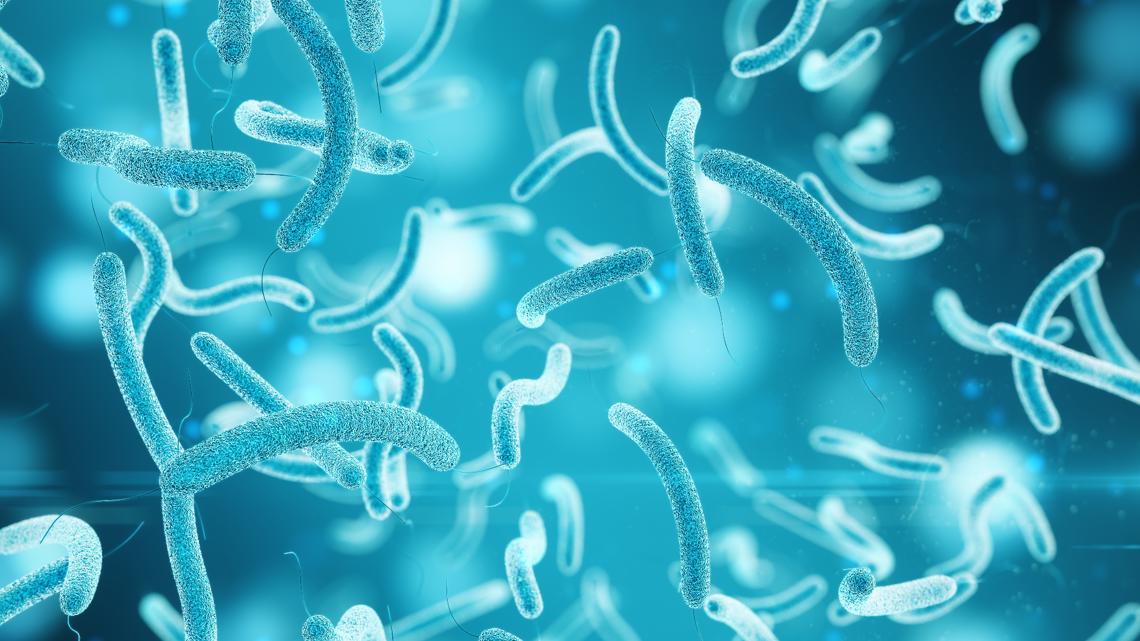 NOWDiagnostics gets authorization from FDA for syphilis test ...