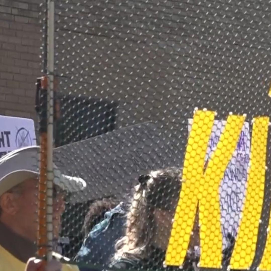 Demonstrators rally for 3rd "No Kings" Protests in Northwest Arkansas ...