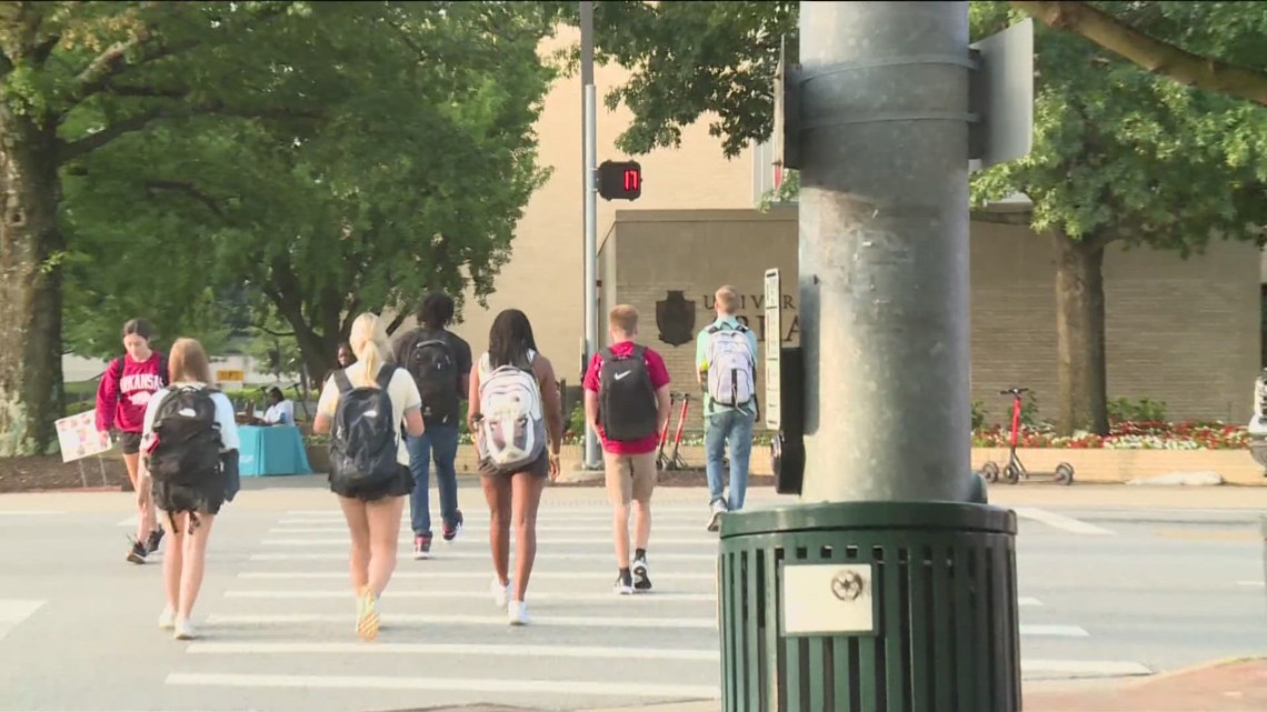Arkansas farmer Hallie Shoffner to run for U.S. Senate in 2026 ...