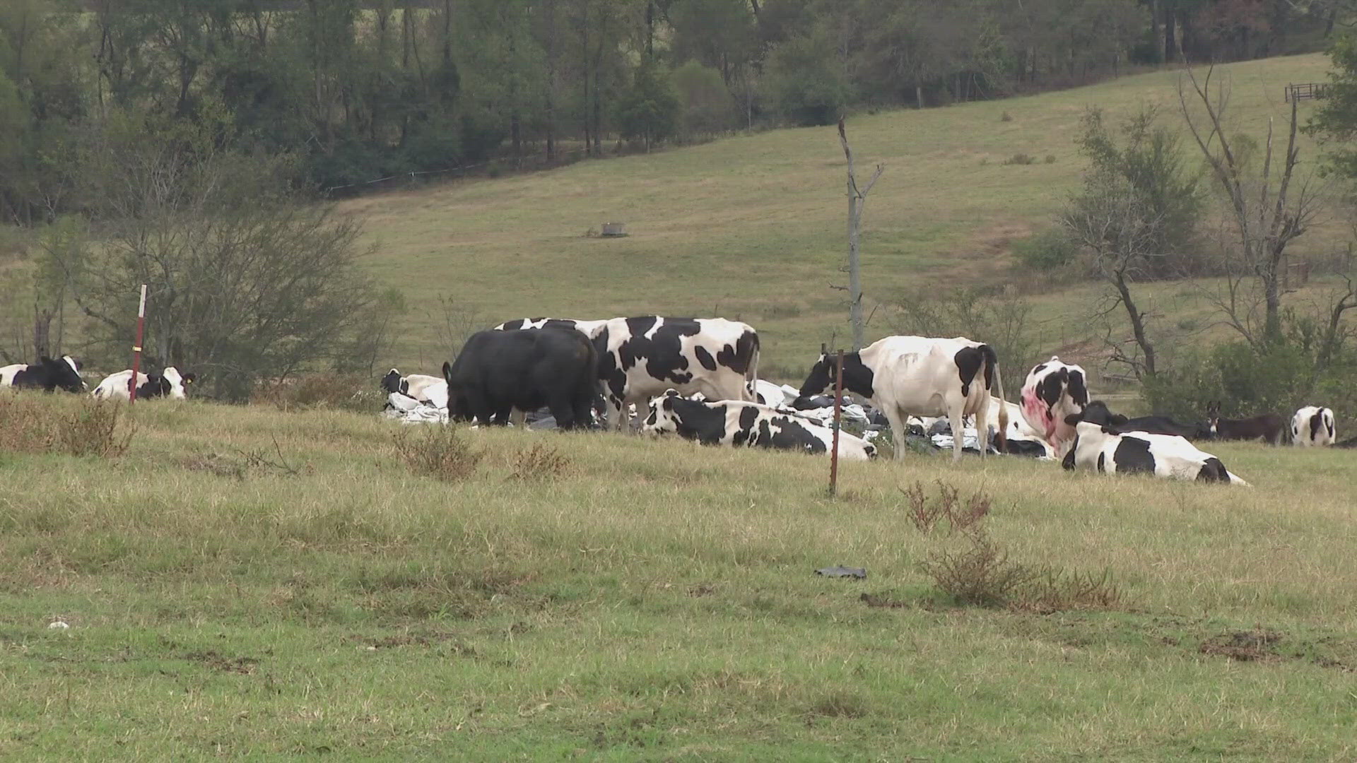 Info on the Arkansas farmer tax ID card | 5newsonline.com