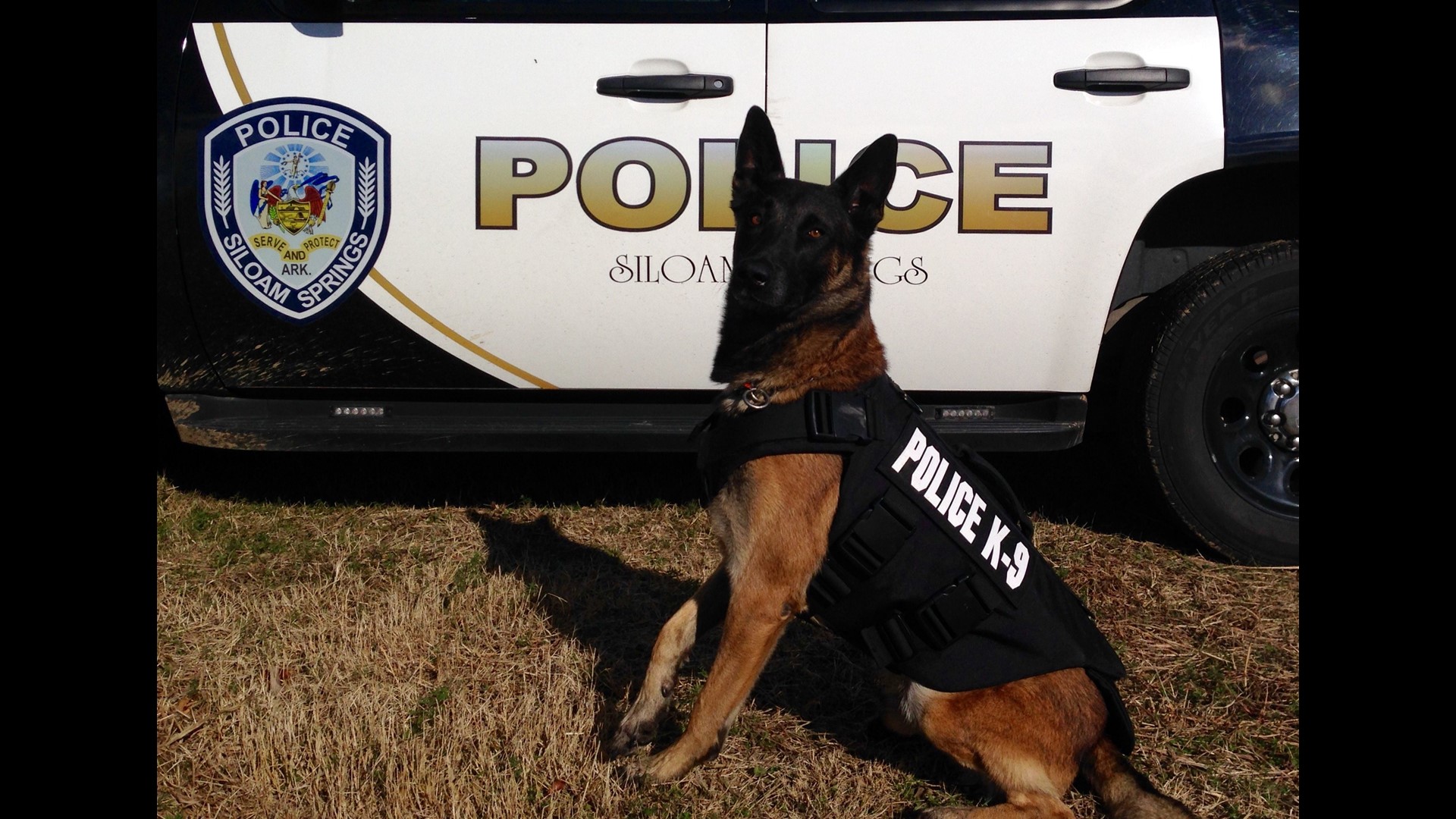 Siloam Springs Police Department K9 Fado Gets Ballistic Vest ...