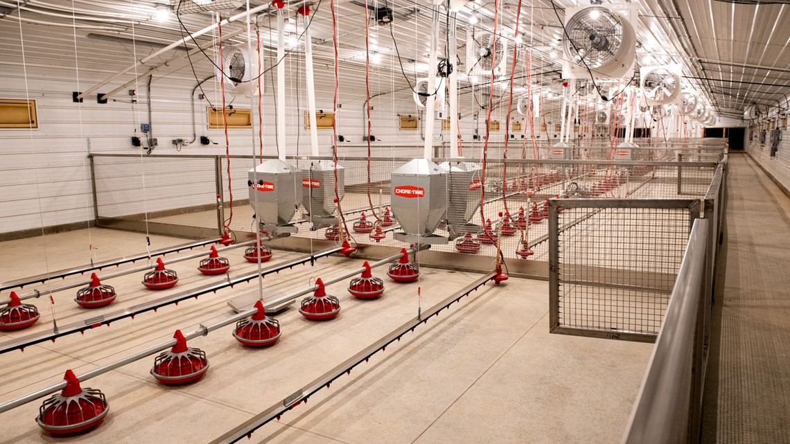 New UA research facility seeks to take better care of birds ...