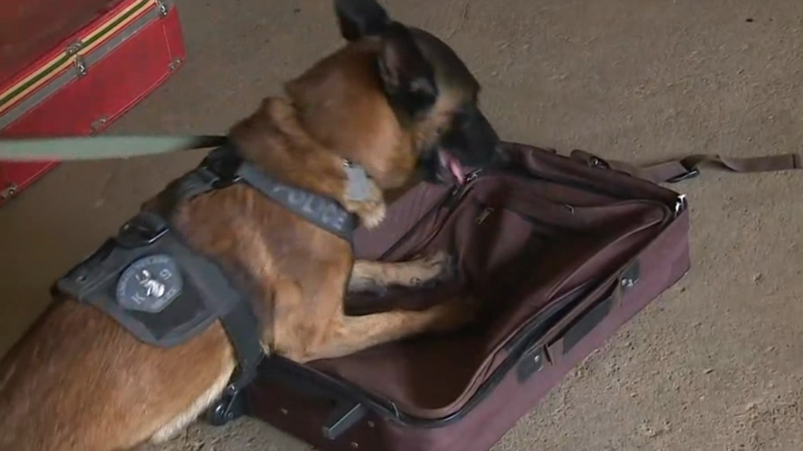 K9 training comes to Arkansas | 5newsonline.com