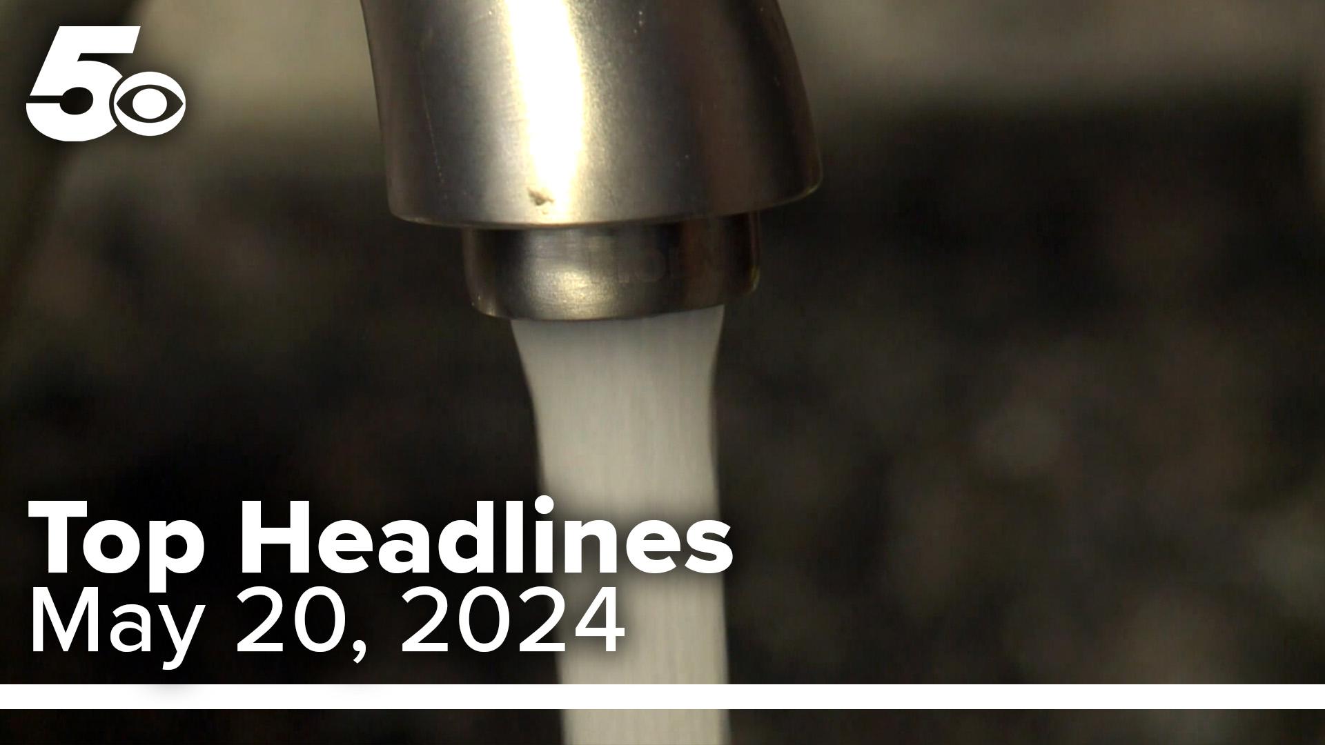 Springdale Animal Services looking for family of loose donkey ...