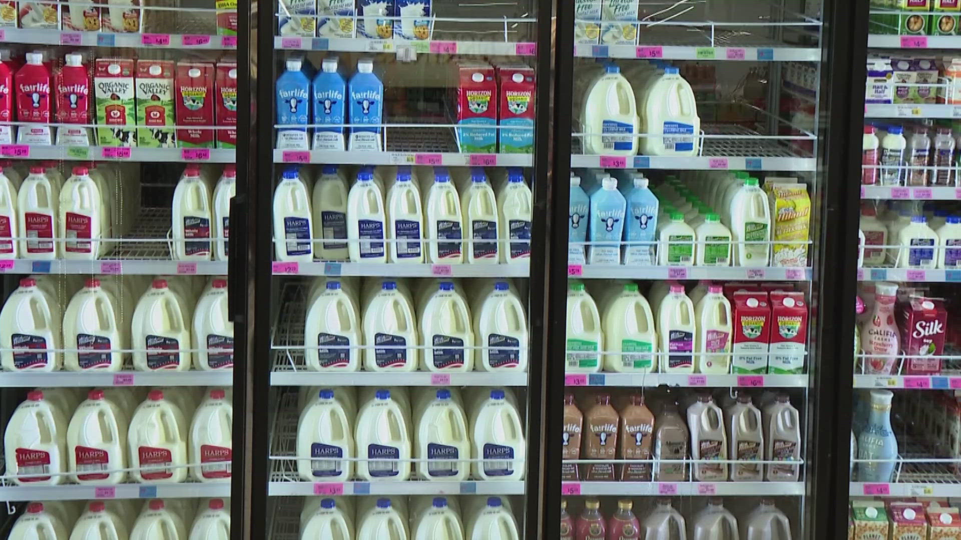 Wowed by the agility dogs at the Westminster show? A winning handler ...