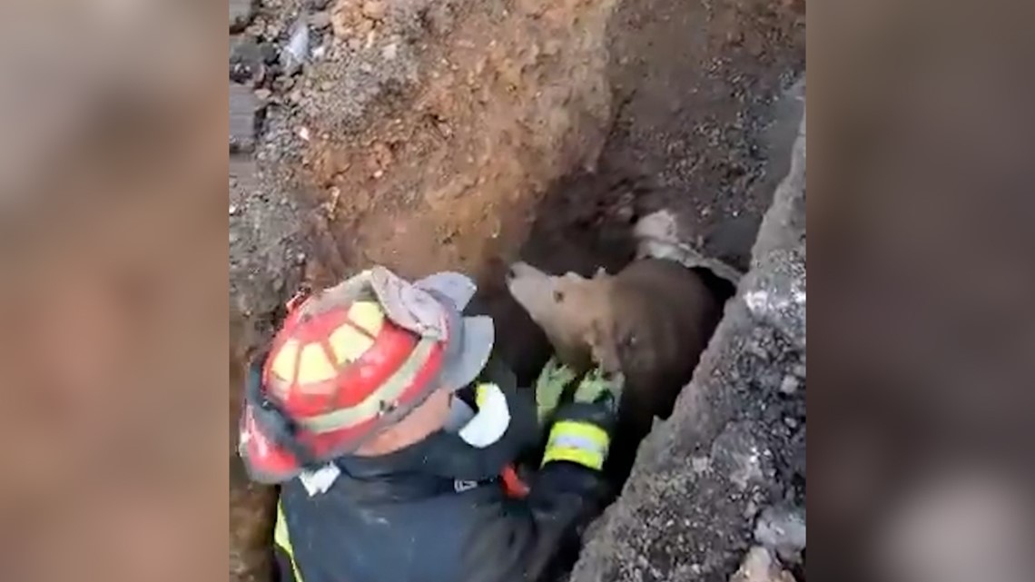 Arkansas firefighters rescue dog stuck in drainage culvert | 5newsonline.com