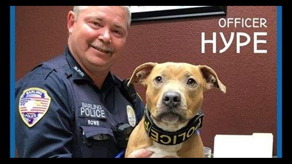 Barling Police K-9 Officer ‘Hype’ Awarded Ballistic Vest | 5newsonline.com