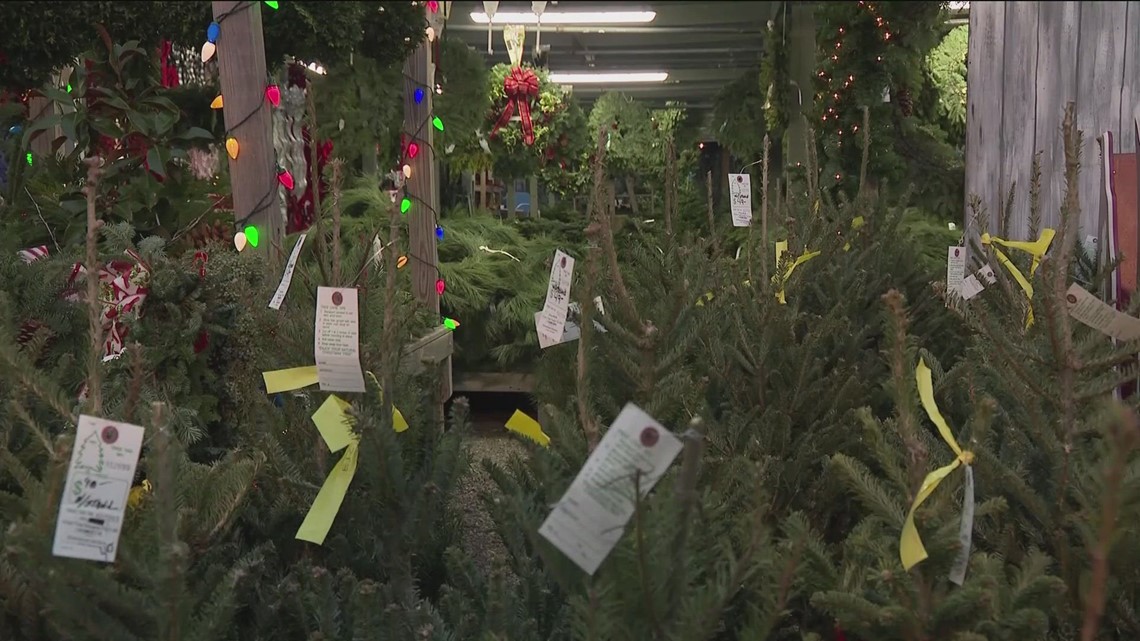 Allergy experts warn of "Christmas Tree Syndrome" | 5newsonline.com