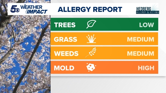 5NEWS Daily Weather Forecast | 5newsonline.com