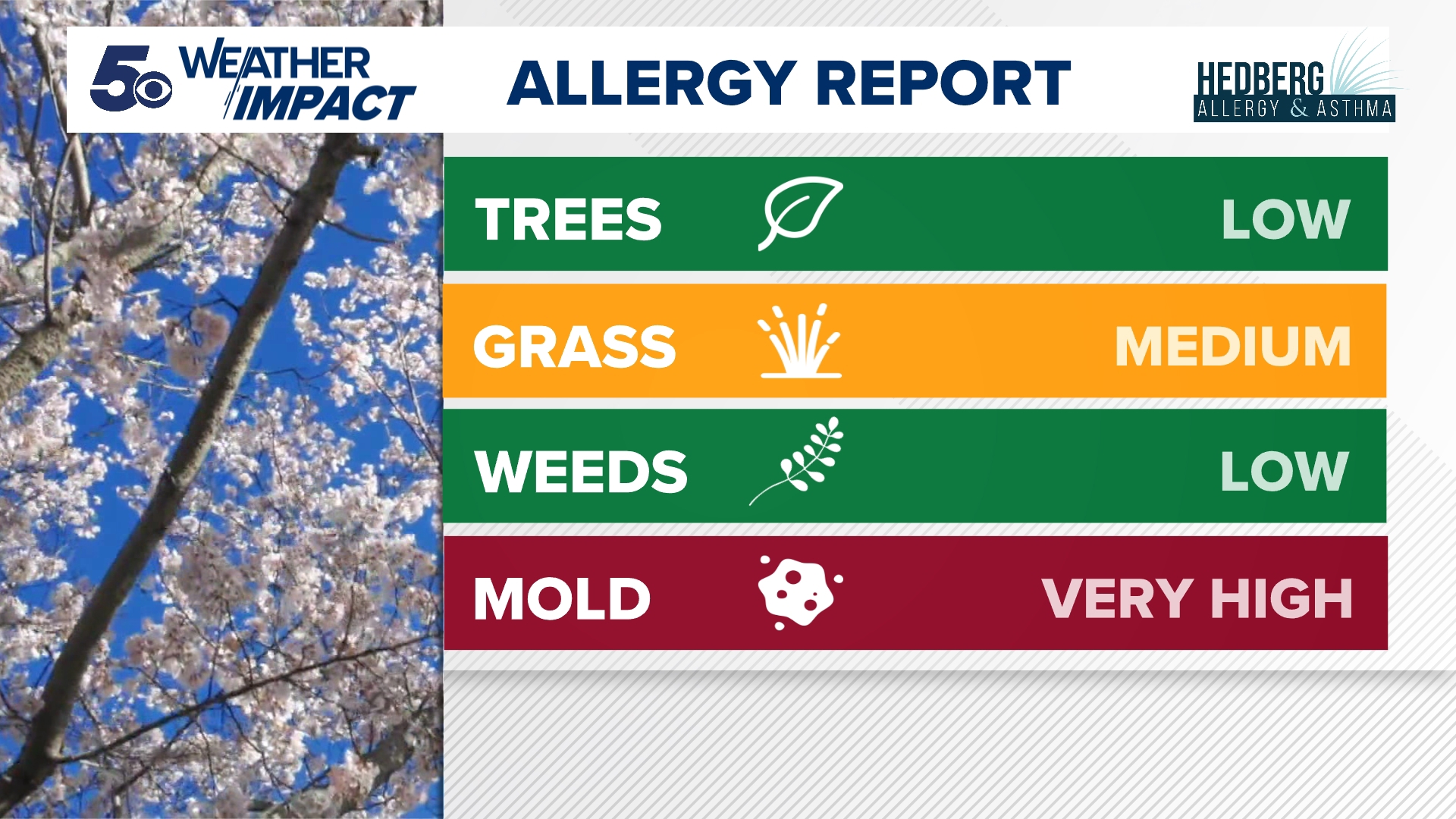 5NEWS Daily Weather Forecast | 5newsonline.com