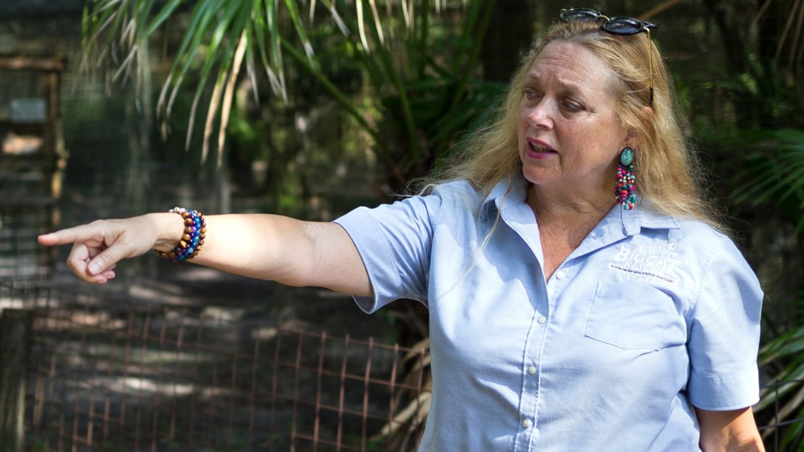 Tiger King's Carole Baskin asks Florida courts to review lawsuit ...