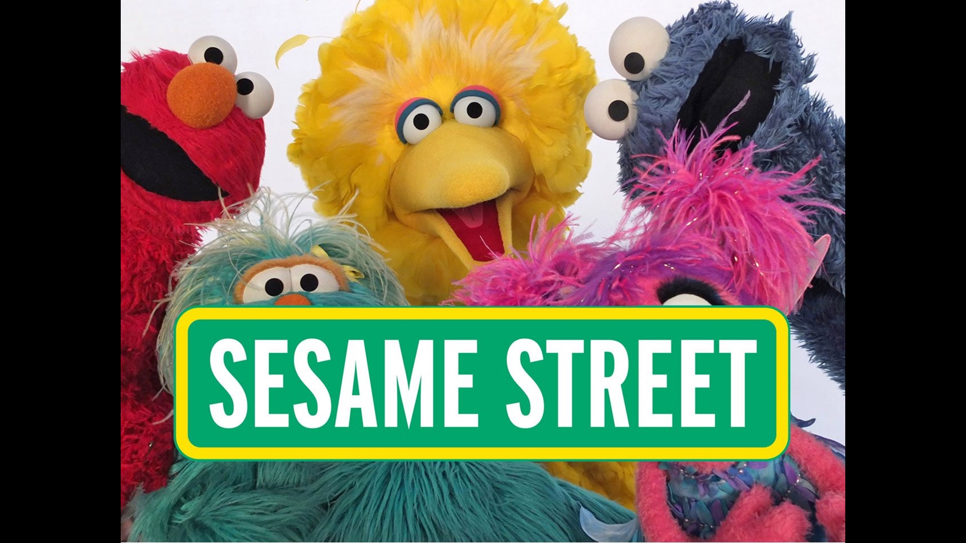Sesame Street Not Coming To Fort Smith Anymore | 5newsonline.com