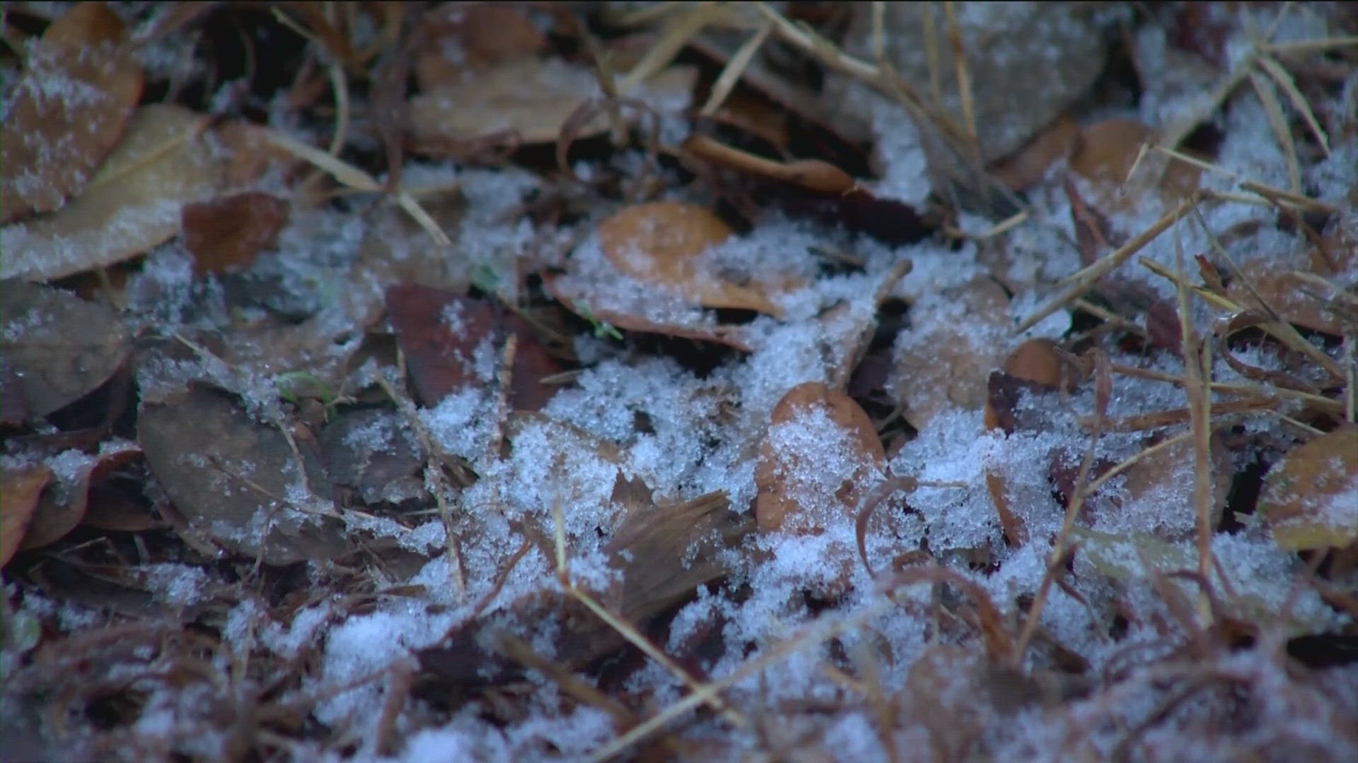 What's the difference between sleet and freezing rain? | 5newsonline.com