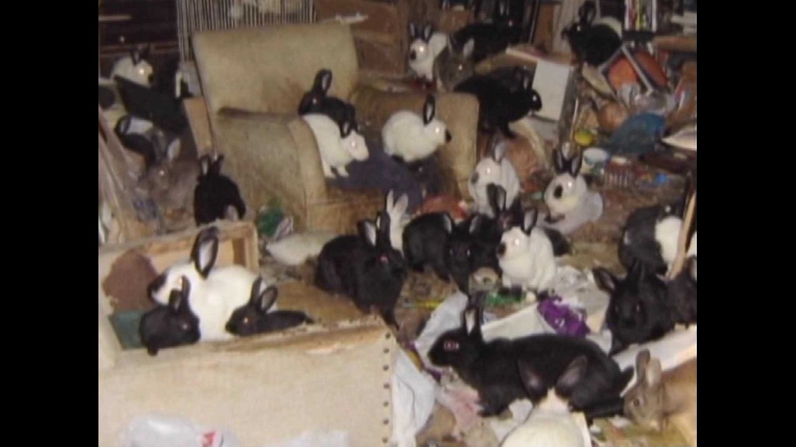 Virginia Woman Facing Charges For Hoarding Rabbits | 5newsonline.com