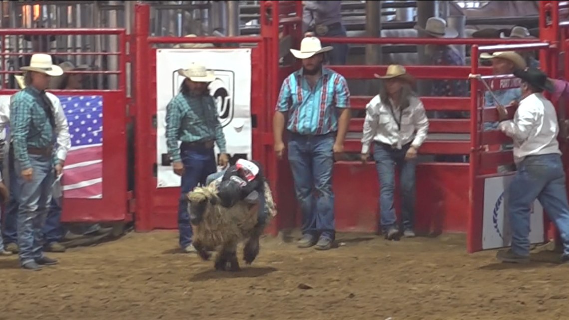 New youth bull riding event held at Old Fort Days Rodeo | 5newsonline.com
