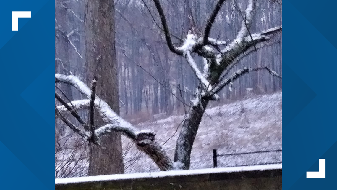 Light mountain snow accumulation Wednesday morning | 5newsonline.com