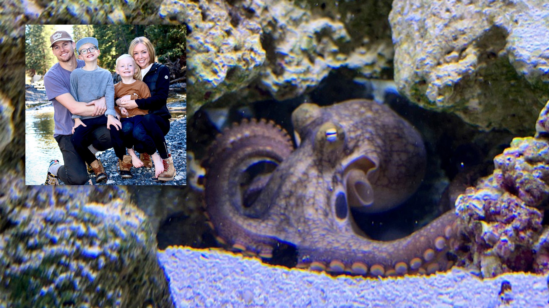 Oklahoma boy and his pet octopus become Internet sensations ...