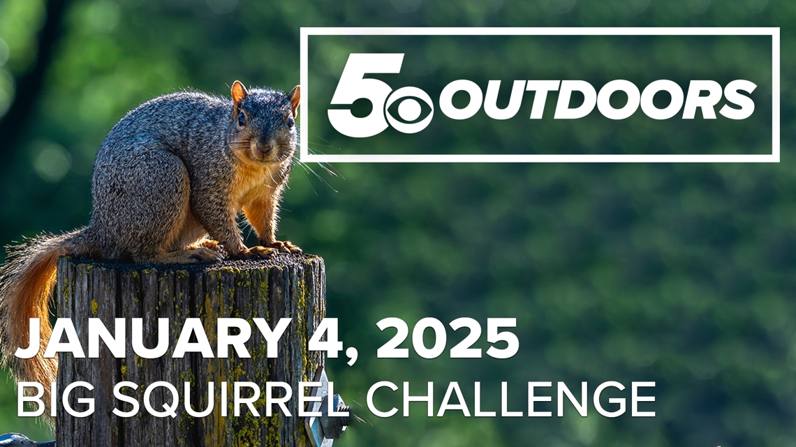 The Big Squirrel Challenge returns to Arkansas | 5newsonline.com