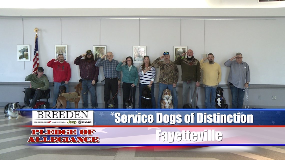 Service Dogs of Distinction – Fayetteville | 5newsonline.com
