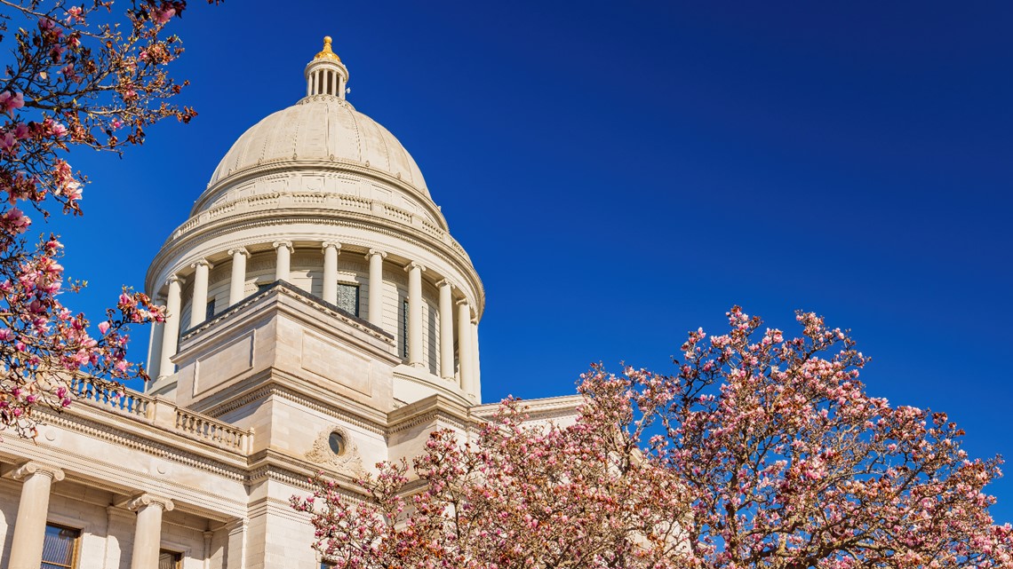 Arkansas bill seeks to grant absentee voting rights to seniors ...