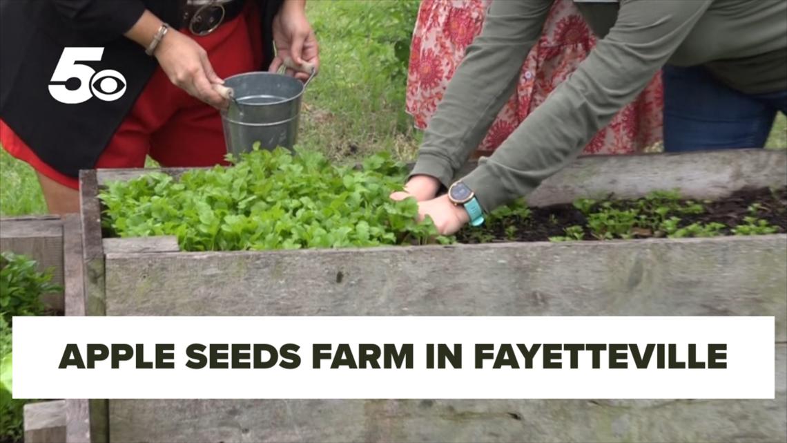 Learn farm-to-table recipes at Apple Seeds Teaching Farm | Around the ...