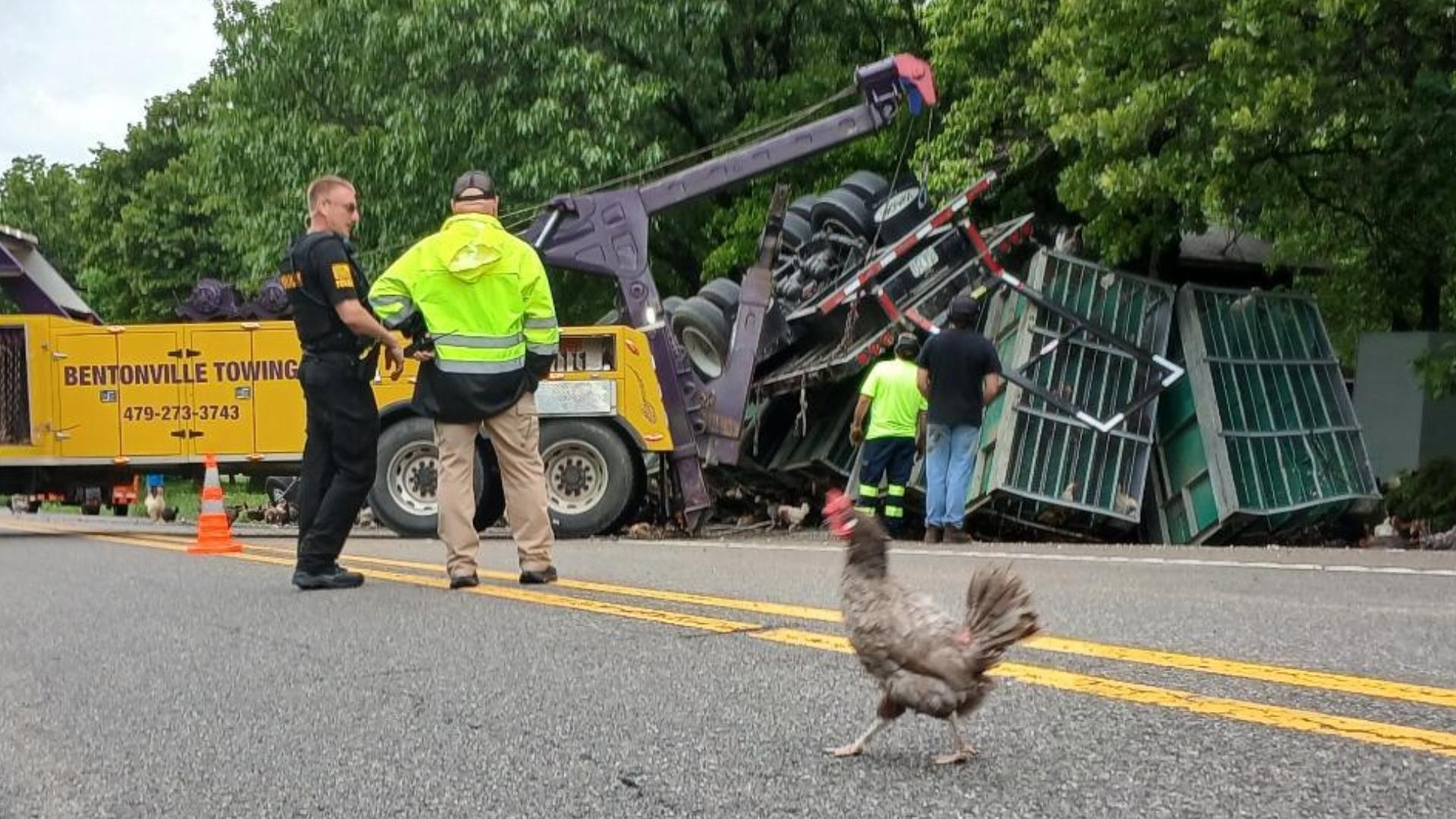 Dozens of chickens on the loose after Gravette 18-wheeler rollover ...