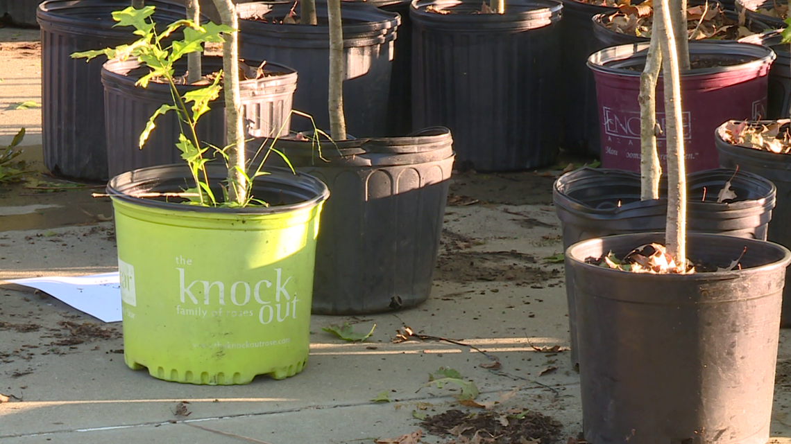 Bentonville to host 23rd annual spring tree giveaway. | 5newsonline.com