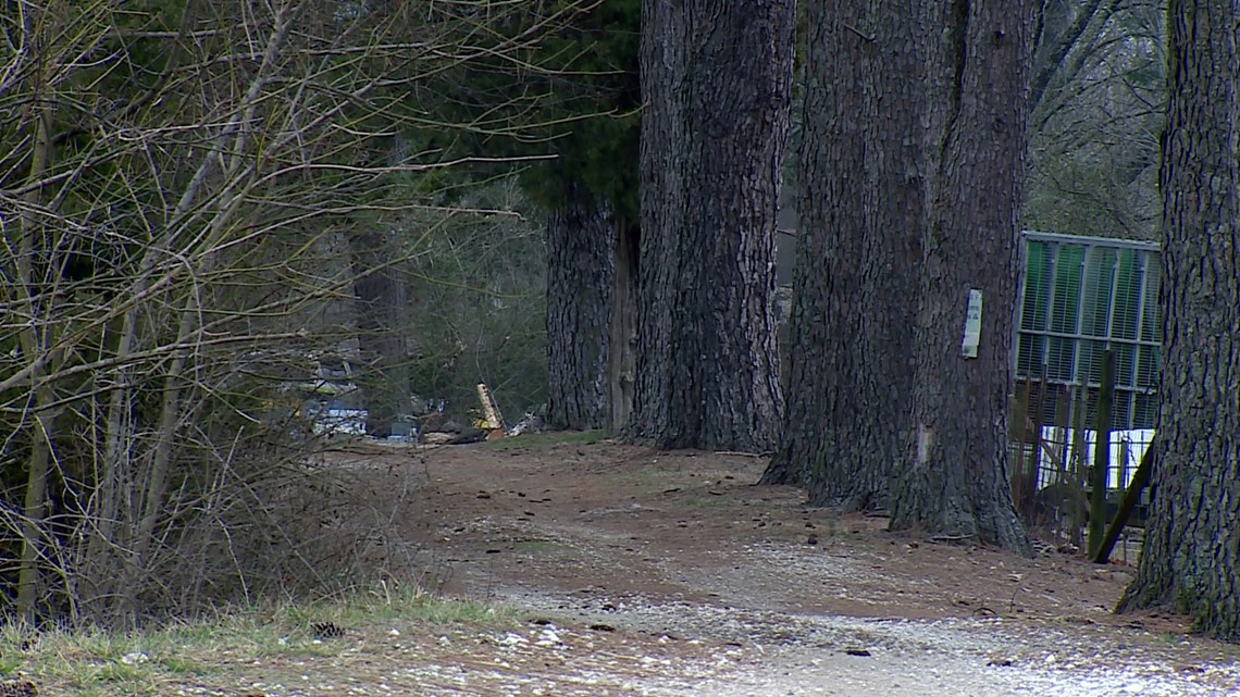Woman arrested for animal cruelty after 34 cats found in home ...