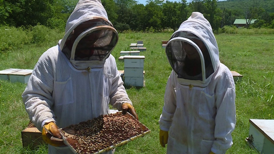 Meet the family-owned honeybee farm in Arkansas | 5newsonline.com
