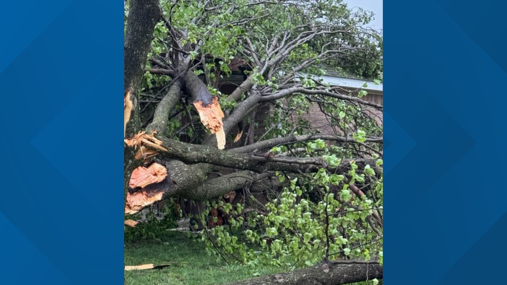 Damage left behind by overnight storms in Arkansas | 5newsonline.com