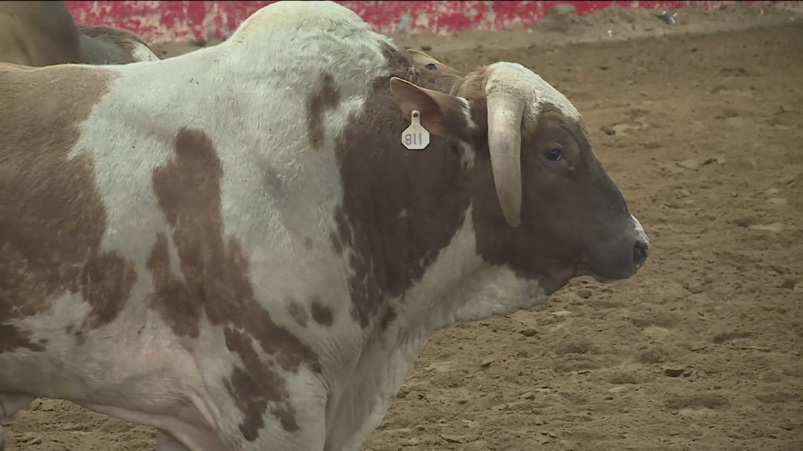 First Bass Reeves rodeo held in Fort Smith | 5newsonline.com