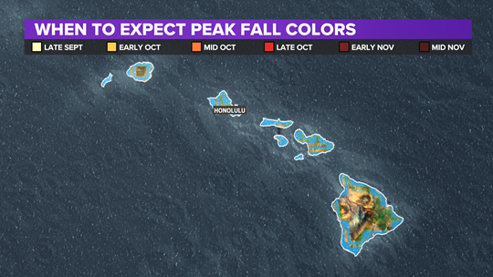 State-By-State | When can you expect the fall foliage to hit peak ...