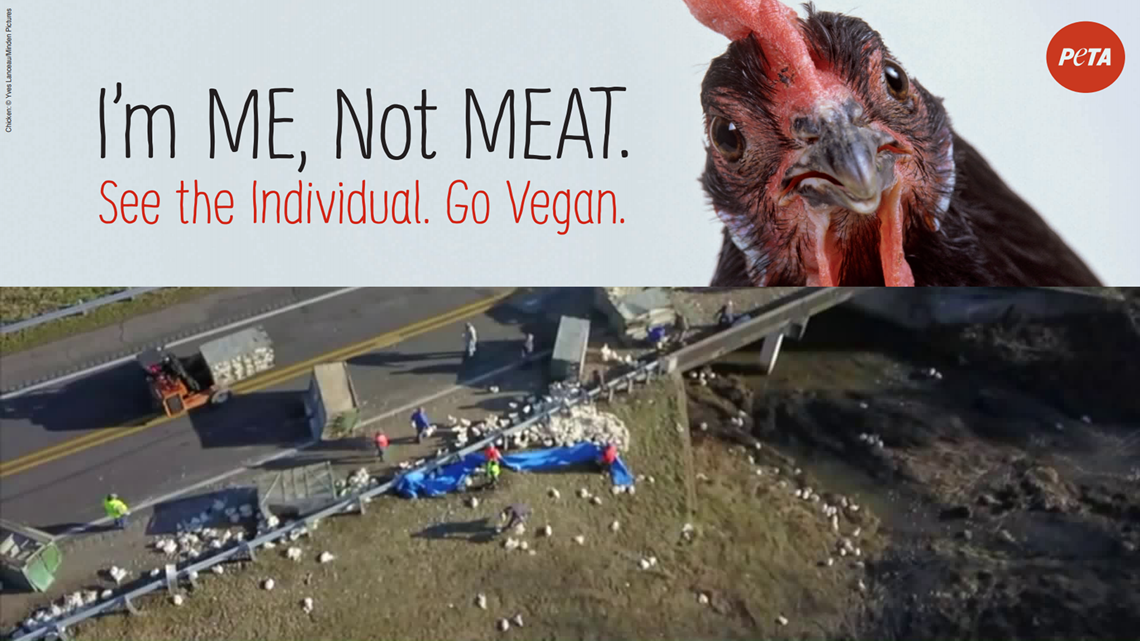 PETA Placing Billboard To Pay Tribute To Chickens Killed In Crash Near ...