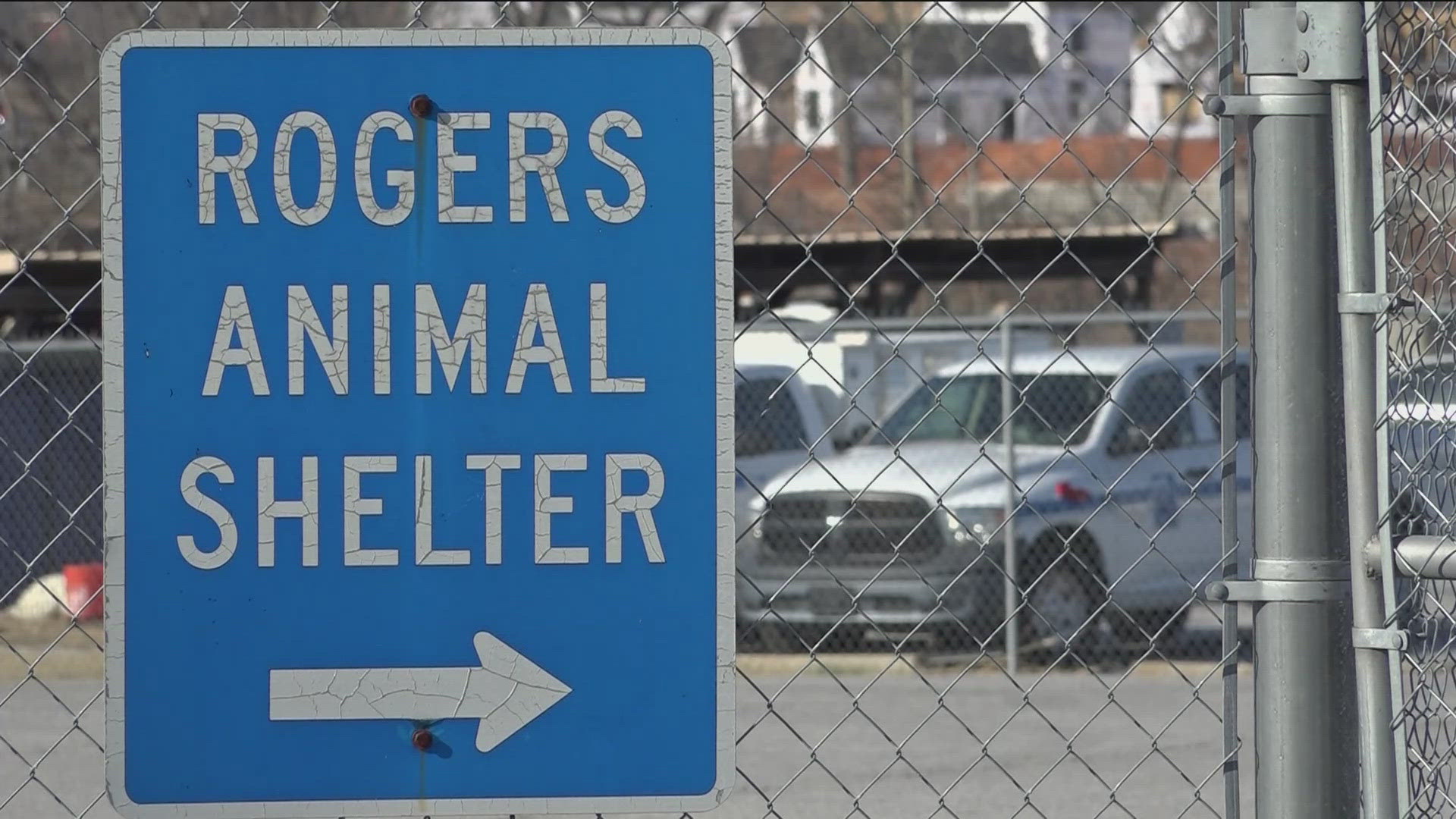 Concerns rise after video shows Rogers shelter dogs kept outside during ...