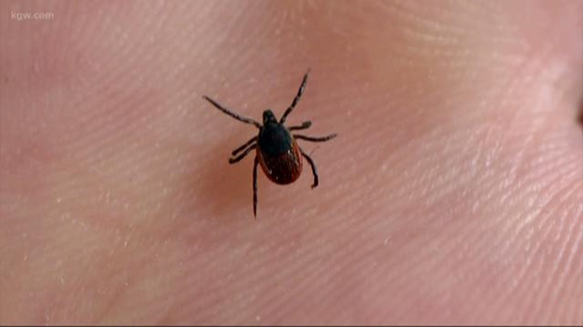 Warmer winters fueling this summer's record high tick season, Iowa ...