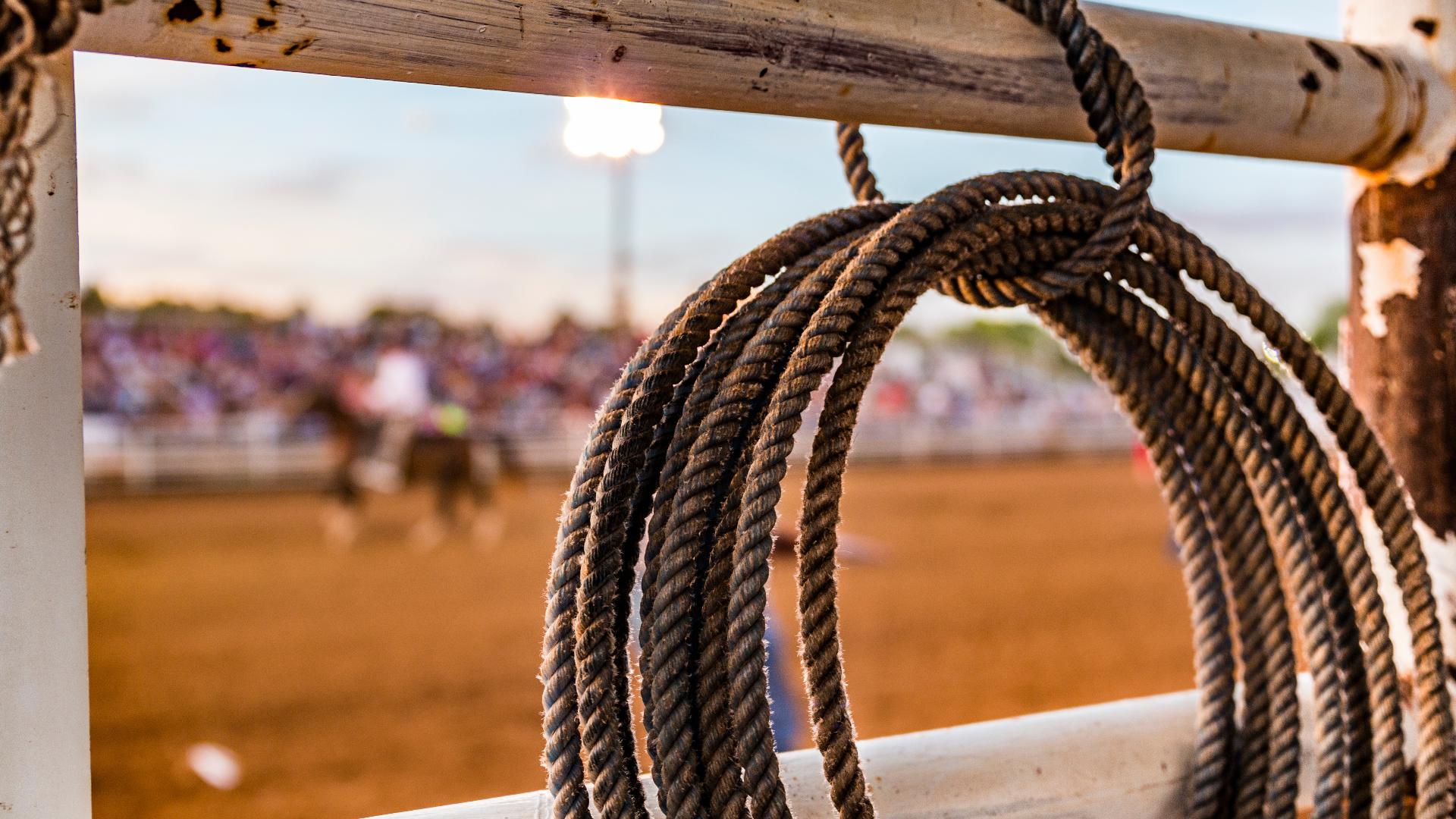 Bull hops fence at Oregon rodeo, injuring 3 | wqad.com