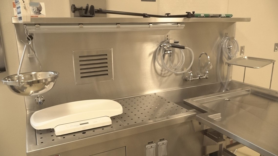 Oregon Humane Society aid investigation of frozen puppies found | 10tv.com