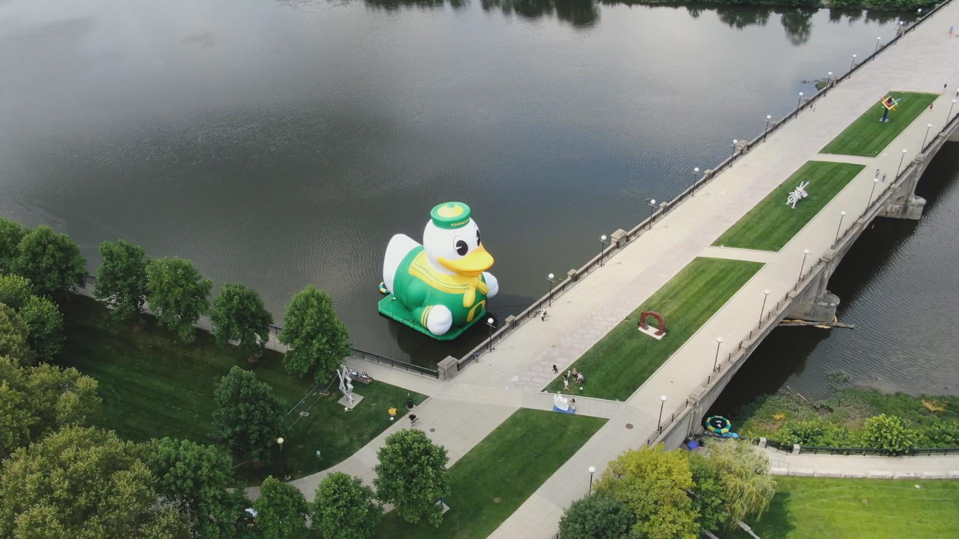 Giant Ducks inflatable appears at Big Ten media days | wthr.com