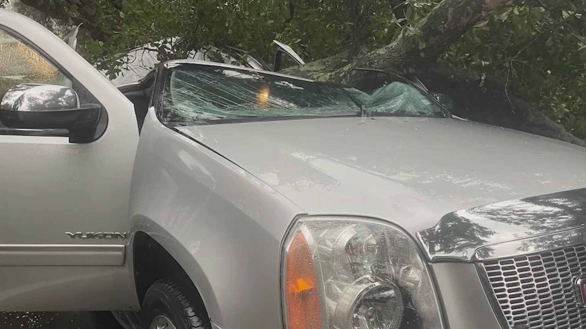 Tomball, Texas: Woman saves man in truck crushed by tree in May ...