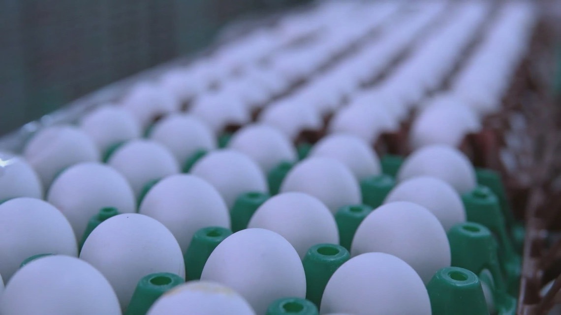 Rose Acre Farms in Indiana confirms bird flu cases | wthr.com