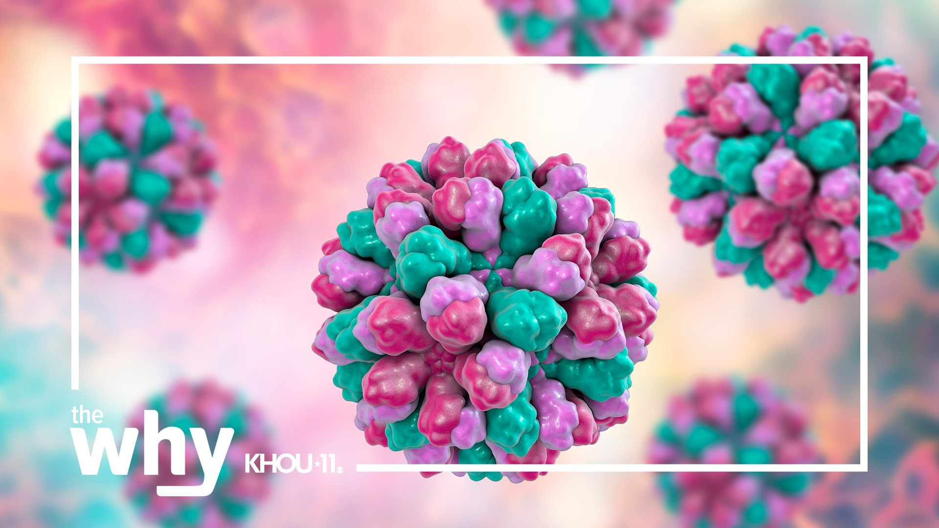 What Is Norovirus And Why Is It So Hard To Stop Spreading It