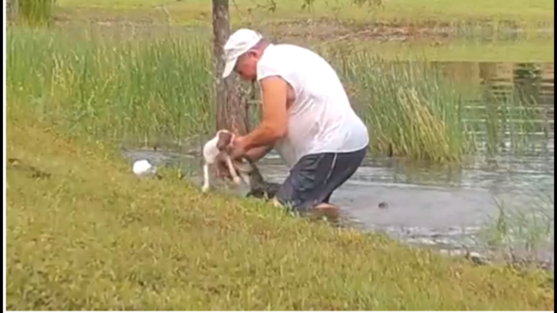 Florida man rescues dog from alligator that snatched it | 10tv.com