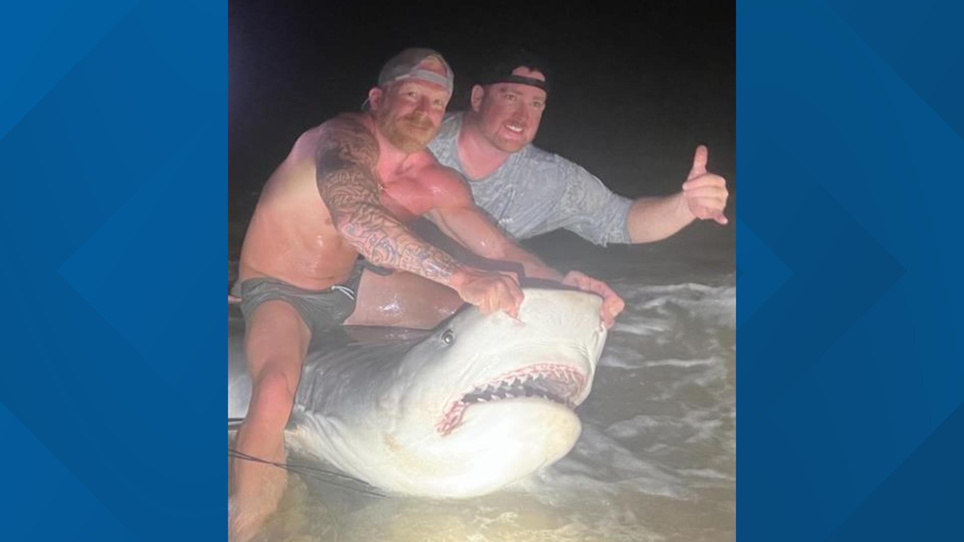 Texas angler catches, releases giant shark in Corpus Christi | 10tv.com