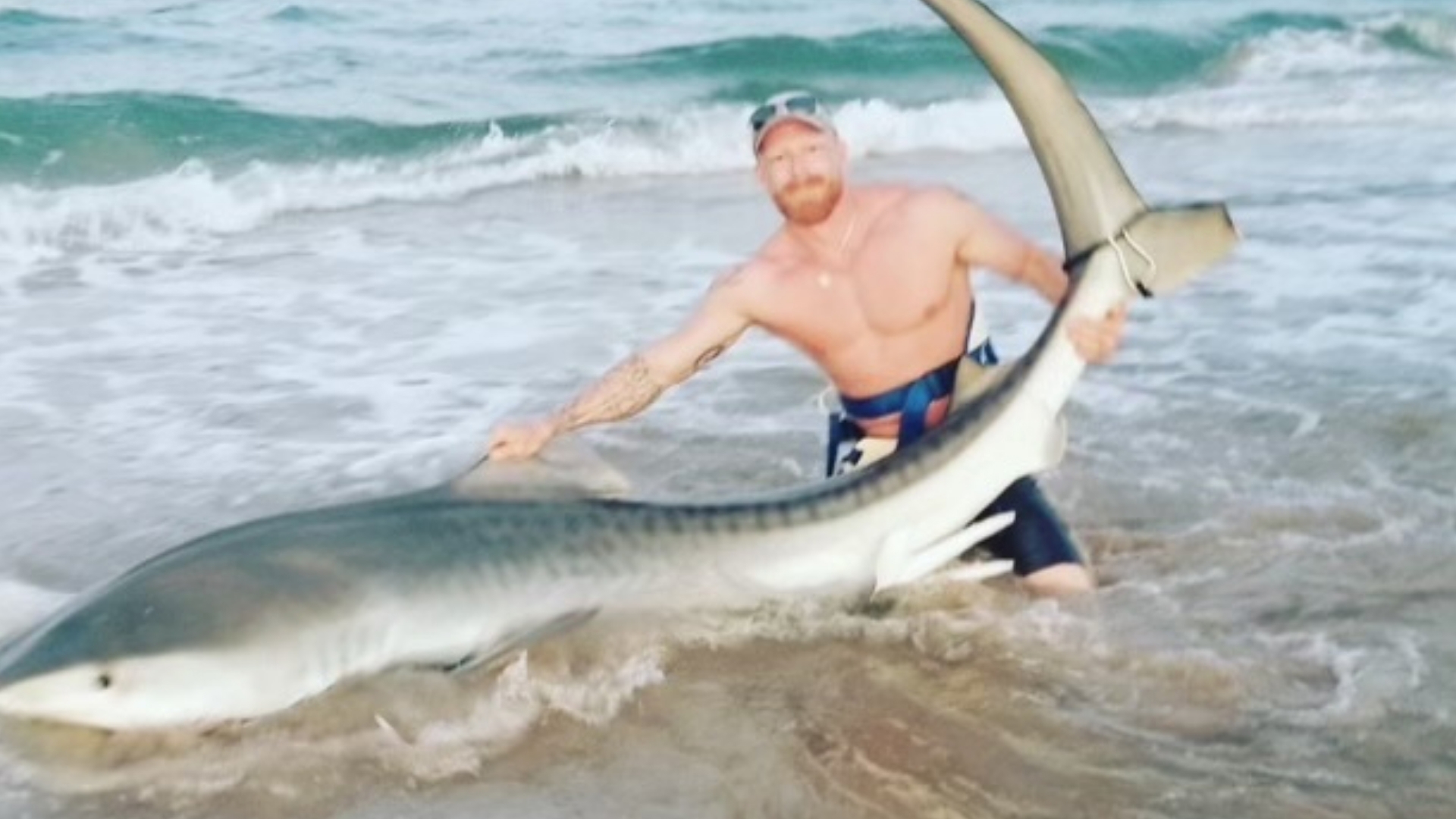 Texas angler catches, releases giant shark in Corpus Christi | 10tv.com