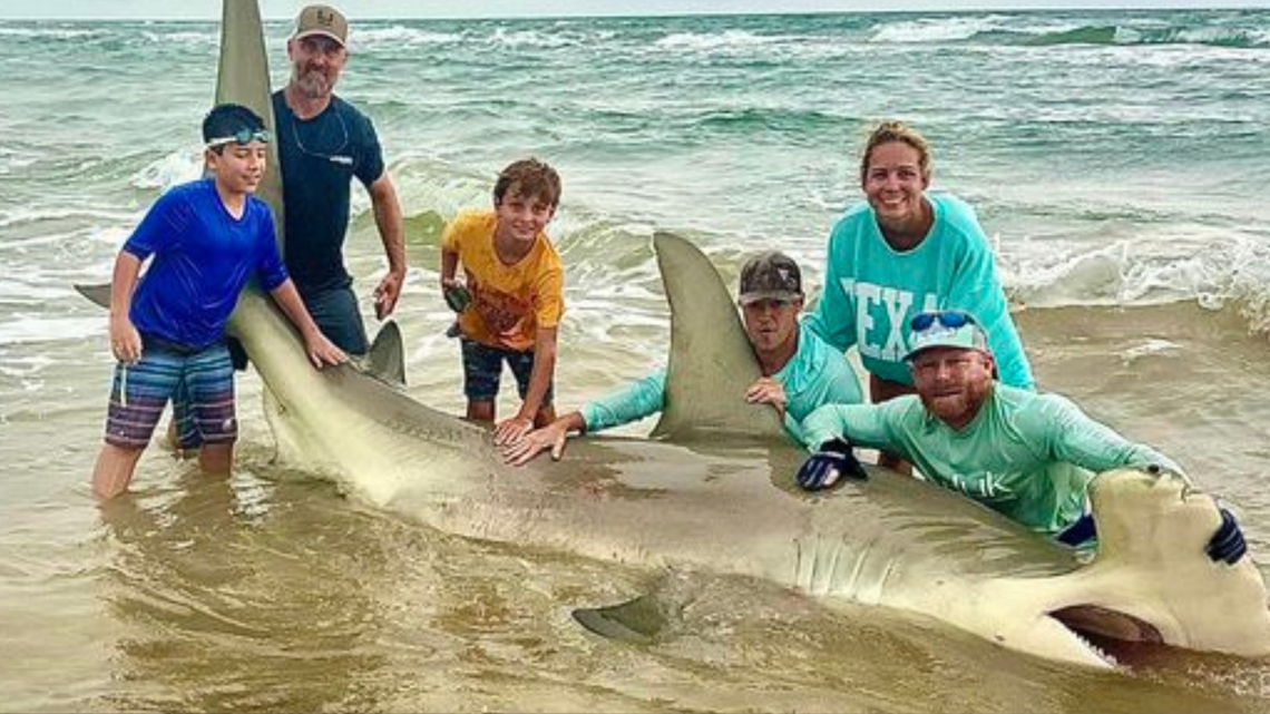 Texas angler catches, releases giant shark in Corpus Christi | 10tv.com