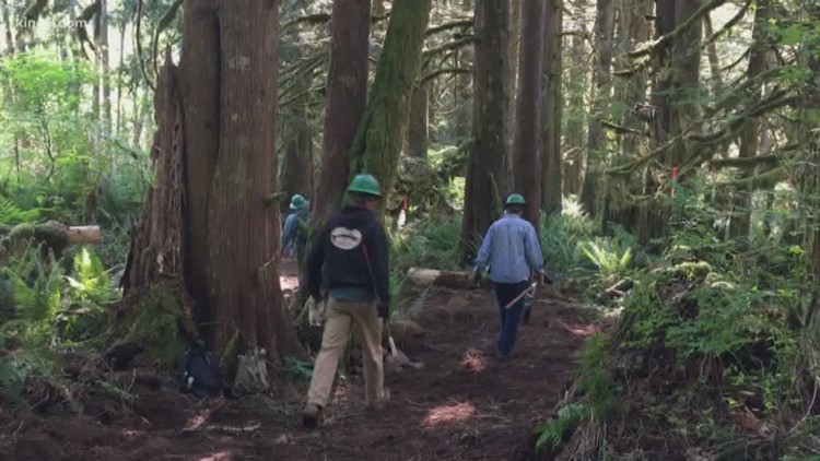 Cleanup events, free access planned for National Trails Day in Alabama ...