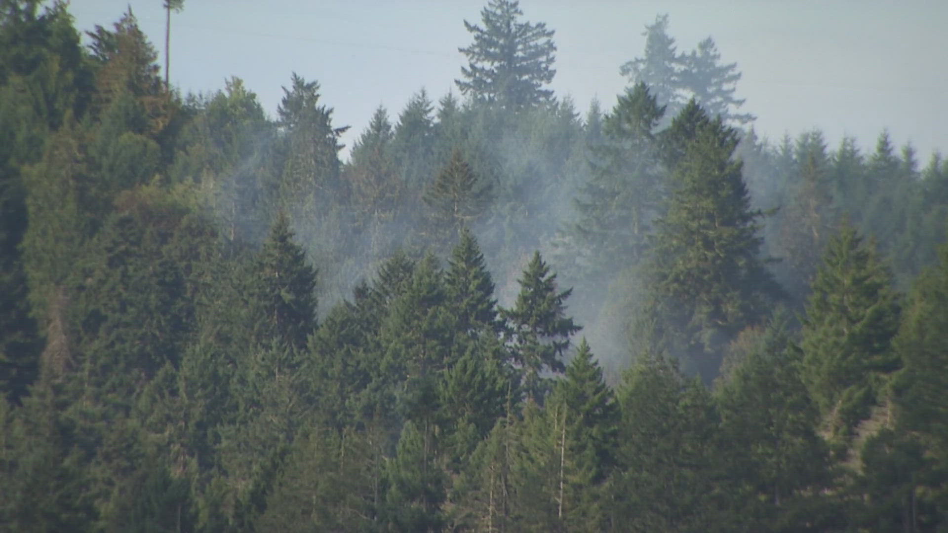 4 Army soldiers killed in WA helicopter crash identified | wqad.com