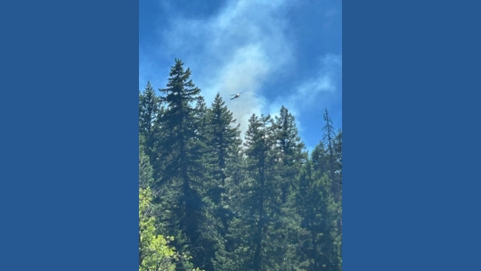 Pilot safe after military aircraft crashes in Washington state ...