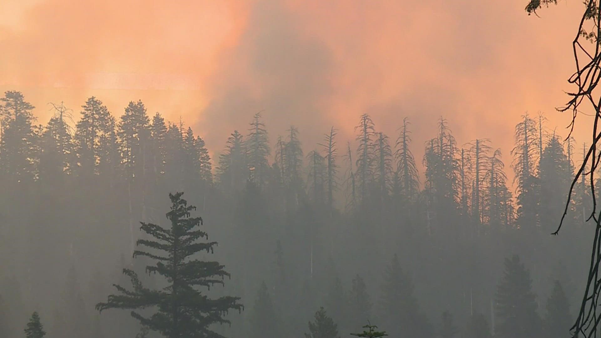 Around the Nation | Massive fire threatening some of the oldest, rarest ...